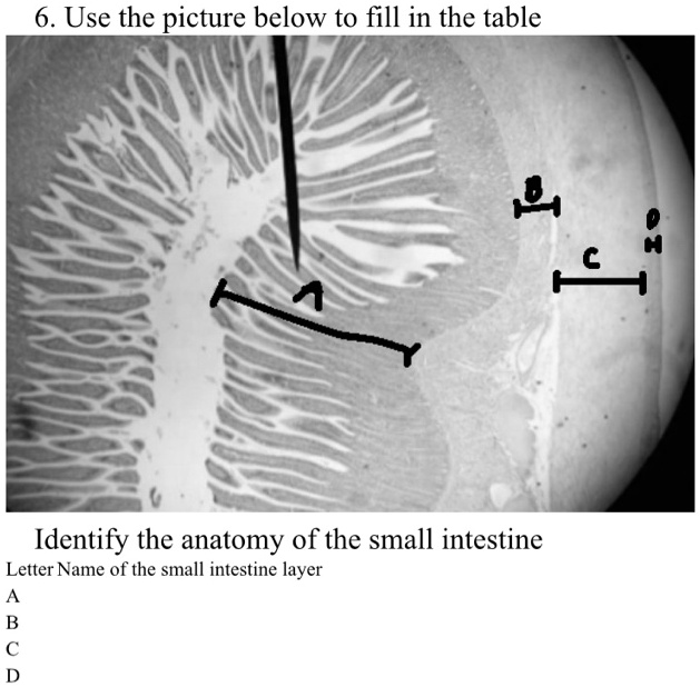SOLVED: 6. Use the picture below to fill in the table 4 1 Identify the ...