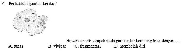SOLVED: Hewan seperti tampak pada gambar berkembangbiak dengan... A ... SOLVED: Hewan seperti tampak pada gambar berkembangbiak dengan... A ...
