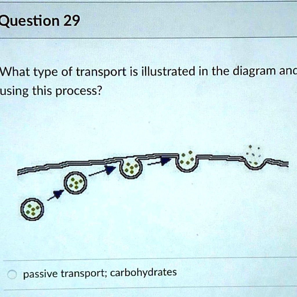 What type of transport is illustrated in the diagram and...