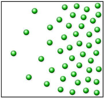 SOLVED: 'The image shows particles of salt dissolved in water. How will ...