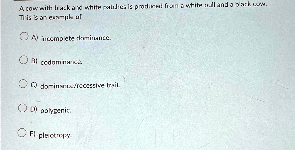 A cow with black and white patches is produced from a white bull and a ...