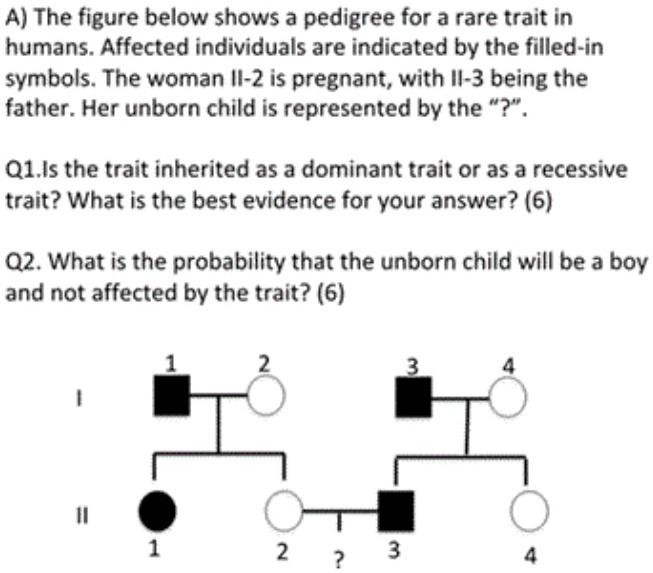 SOLVED: The figure below shows a pedigree for a rare trait in humans ...