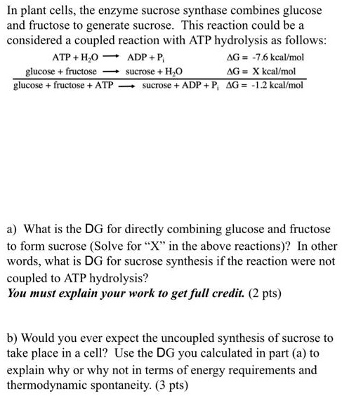 in plant cells the enzyme sucrose synthase combines glucose and ...