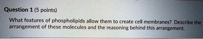 SOLVED: Question 1 (5 points) What features of phospholipids allow them ... SOLVED: Question 1 (5 points) What features of phospholipids allow them ...