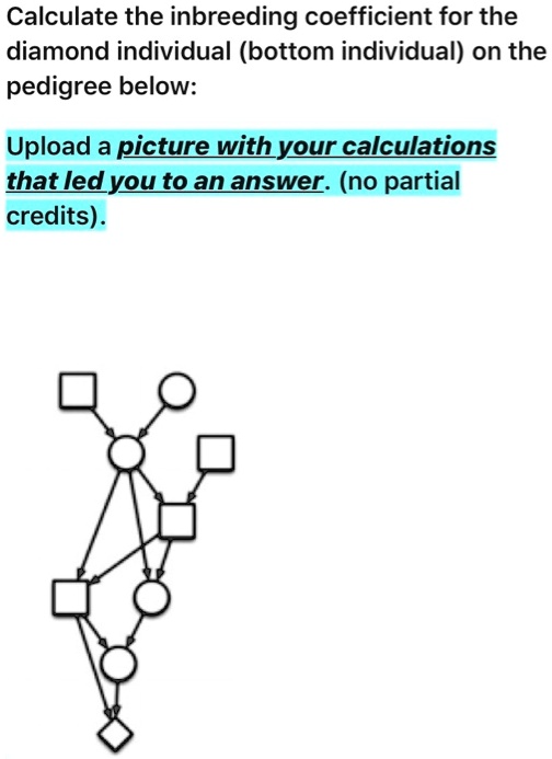 SOLVED: Calculate the inbreeding coefficient for the diamond individual ...