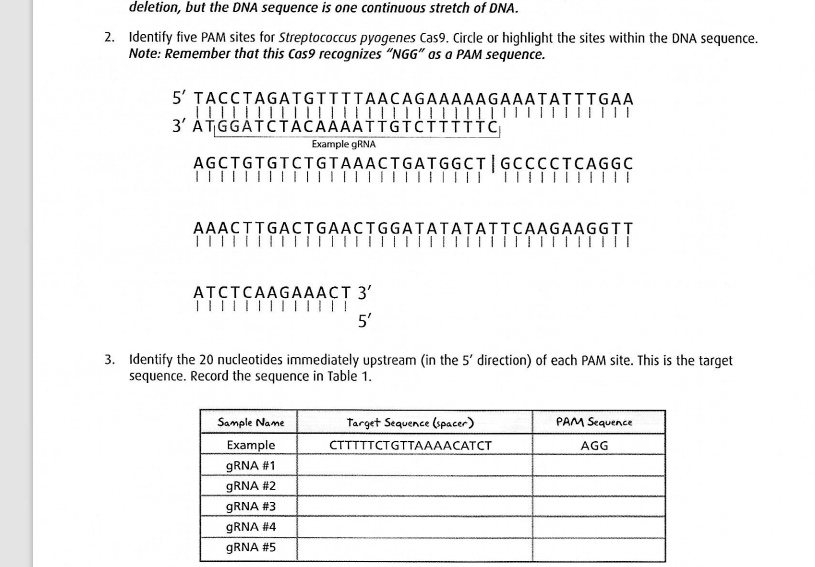 SOLVED: Deletion, but the DNA sequence is one continuous stretch of DNA ...