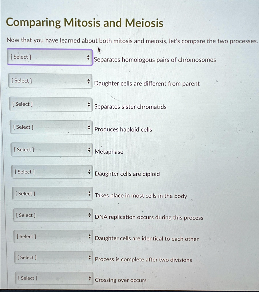 Comparing Mitosis and Meiosis Now that you have learned about both ...
