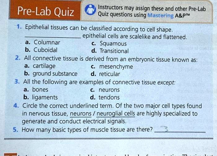 Pre-Lab Quiz Instructors may assign these and other Pre-Lab Quiz questions using Mastering A P ...