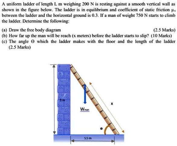 SOLVED: A uniform ladder of length L m weighing 200 N is resting ...