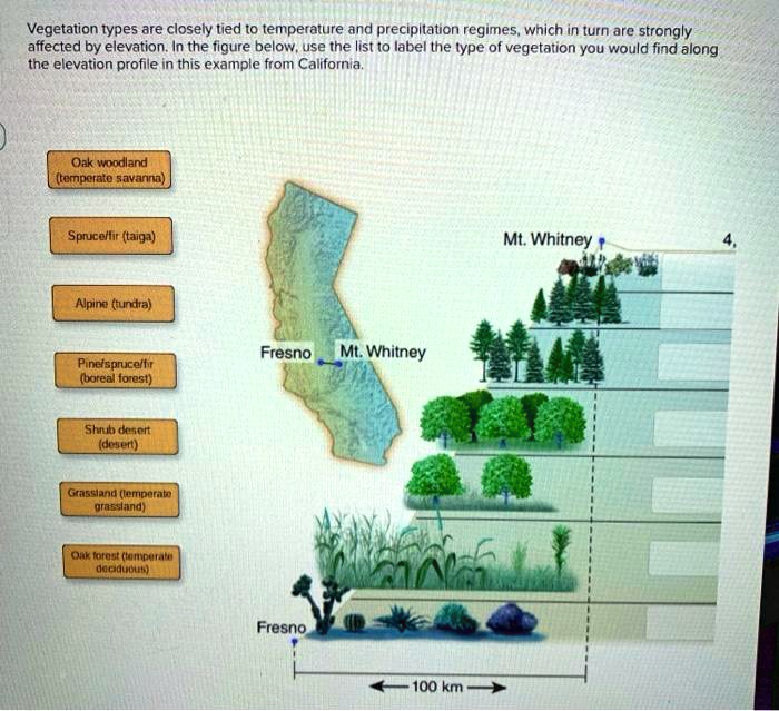 SOLVED: Vegetation types are closely tied to temperature and ...