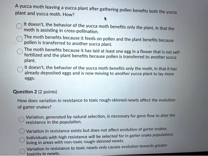 A yucca moth leaving yucca plant after ' gathering pollen benefits both ...