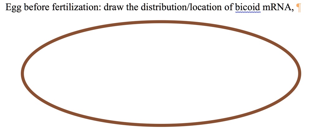 SOLVED: Egg before fertilization: draw the distribution/location of ...