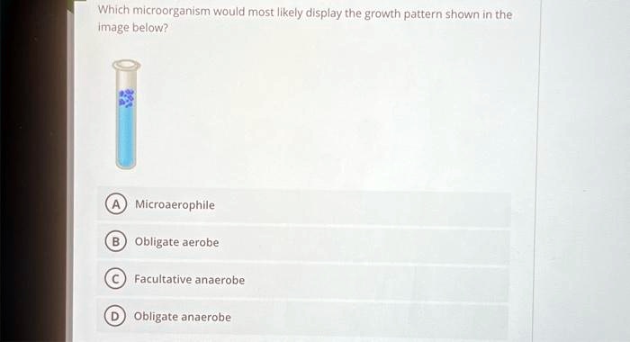 SOLVED: Please help. Which microorganism would most likely display the ... SOLVED: Please help. Which microorganism would most likely display the ...