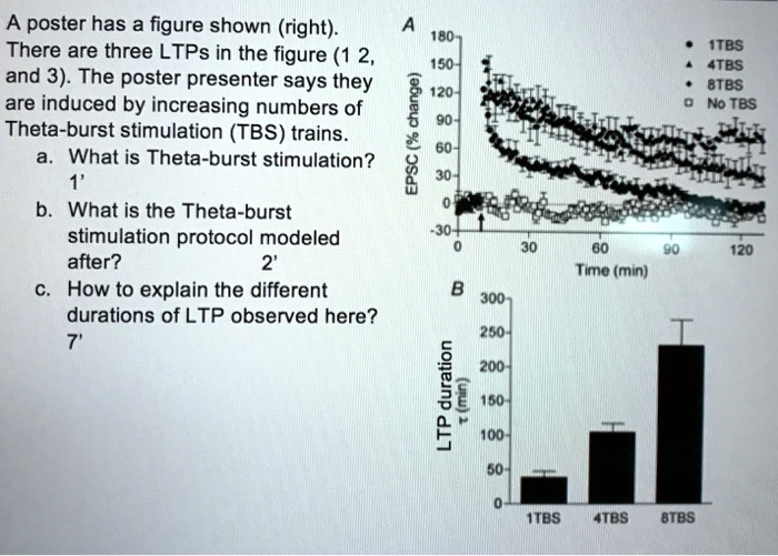SOLVED: A poster has a figure shown (right) 180 There are three LTPs in ...