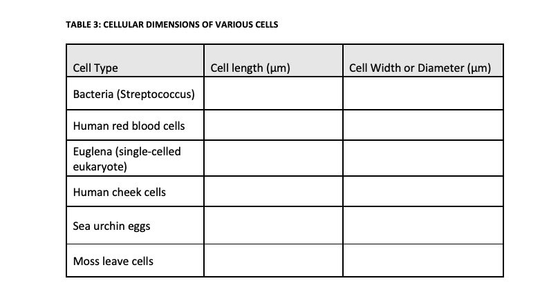SOLVED: TABLE 3: CELLULAR DIMENSIONS OF VARIOUS CELLS Cell Type Cell ...