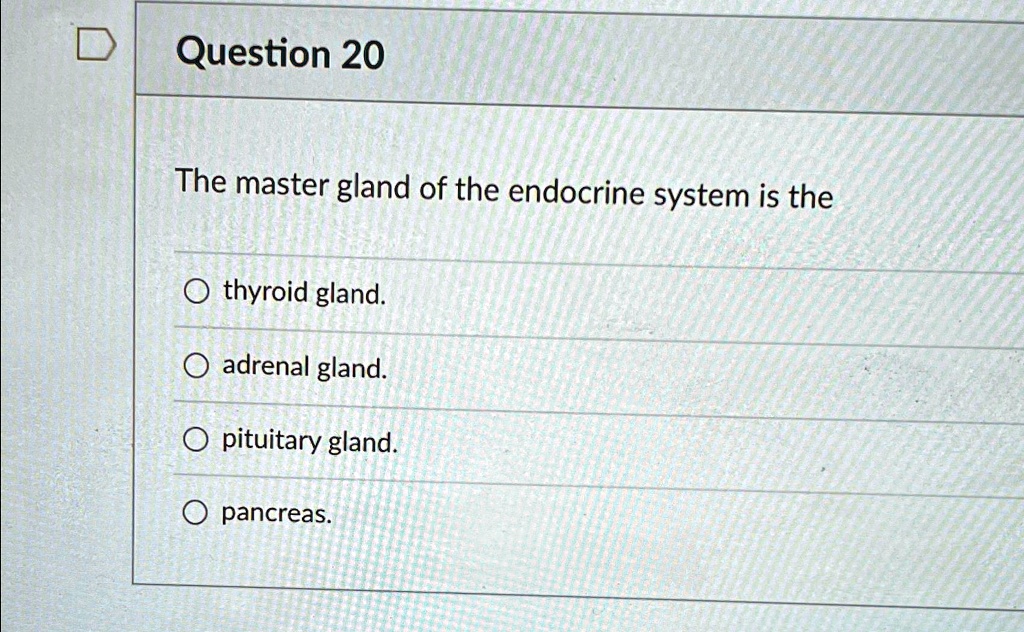Question 20 The master gland of the endocrine system is the thyroid ...