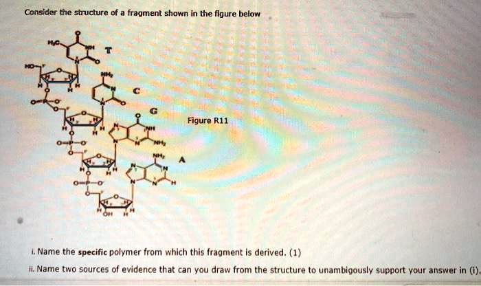 SOLVED: Consider the structure of the fragment shown in the figure ...