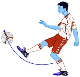 SOLVED: "The player's kicking foot is moving in which anatomical ...