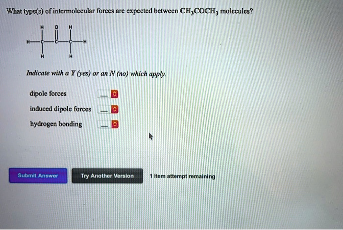 SOLVED: What type(s) of intermolecular forces are expected between ...