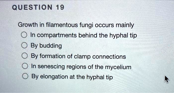 question 19 growth in filamentous fungi occurs mainly in compartments ...