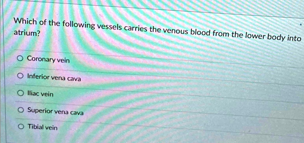 SOLVED: Which of the following vessels carries the venous blood from the lower body into the ...