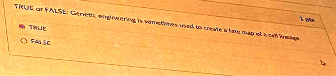 SOLVED: TRUE or FALSE: Genetic engineering is sometimes used to create ...
