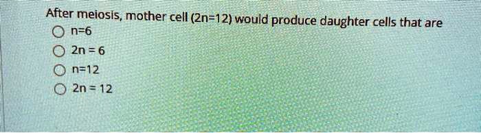 SOLVED: After meiosis, mother cell (2n-12) would produce daughter cells ...