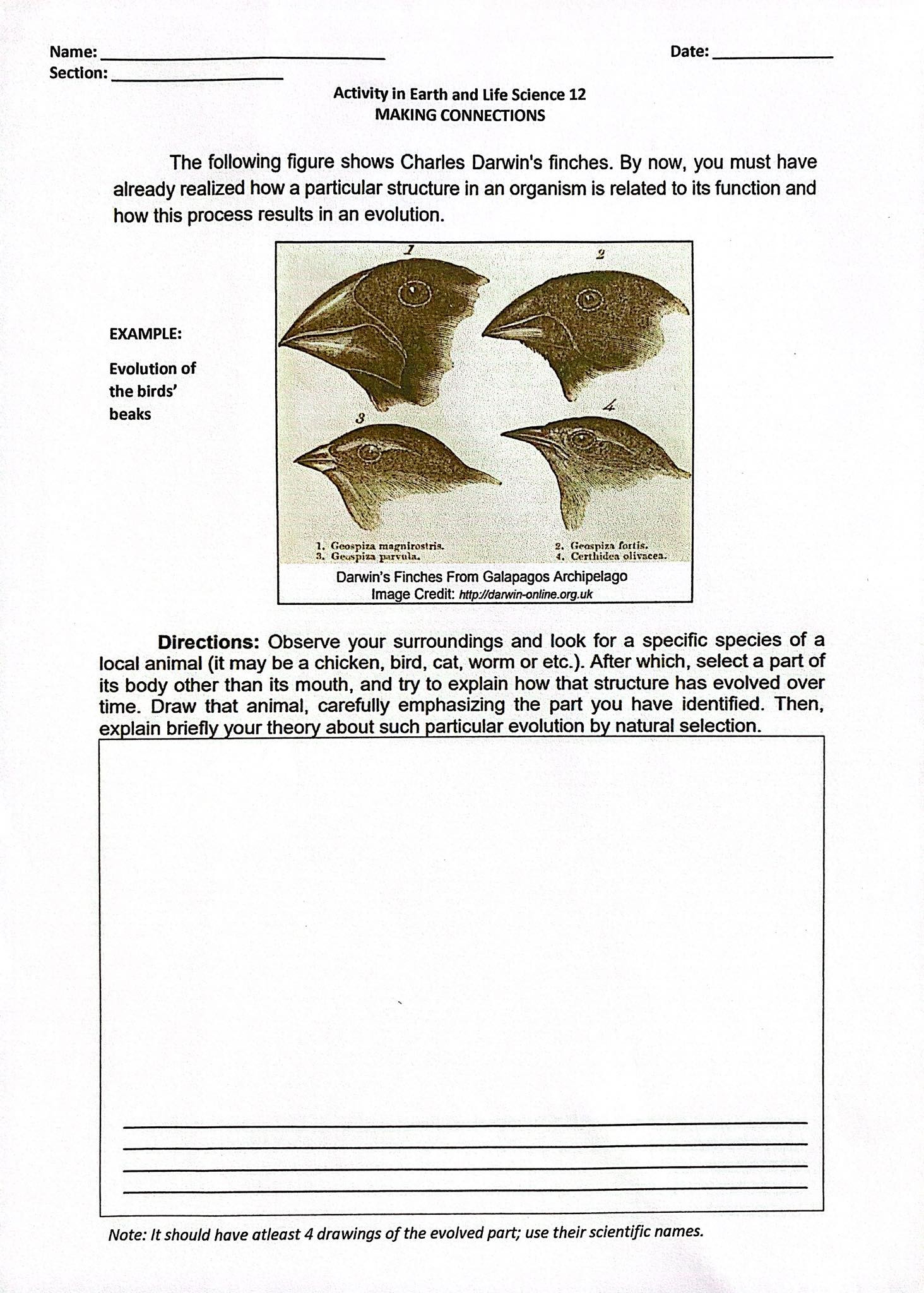 SOLVED: Name: Date: Section: Activity in Earth and Life Science 12 ...