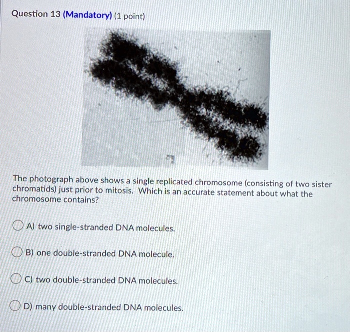 SOLVED: Question 13 (Mandatory) (1 point) The photograph above shows a single replicated ...