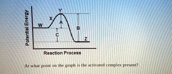1 1 reaction process at what point on the graph is the activated ...