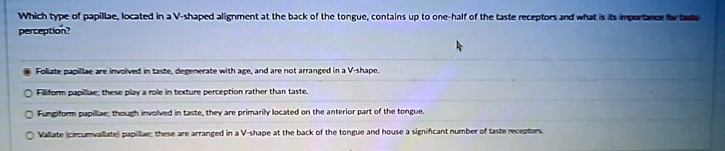 which type of papillae located in a v shaped alignment at the back of ...