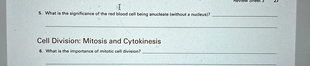 5 what is the significance of the red blood cell being anucleate ...