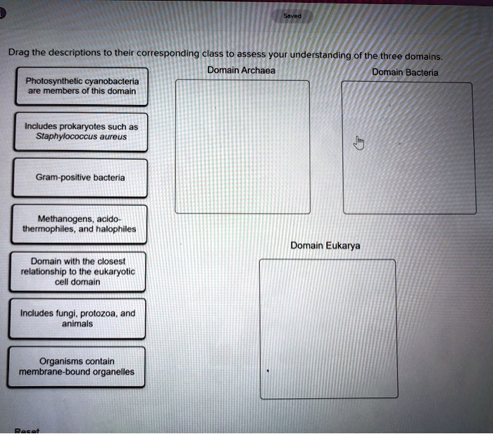 Drag the descriptions to their corresponding class to assess your ...