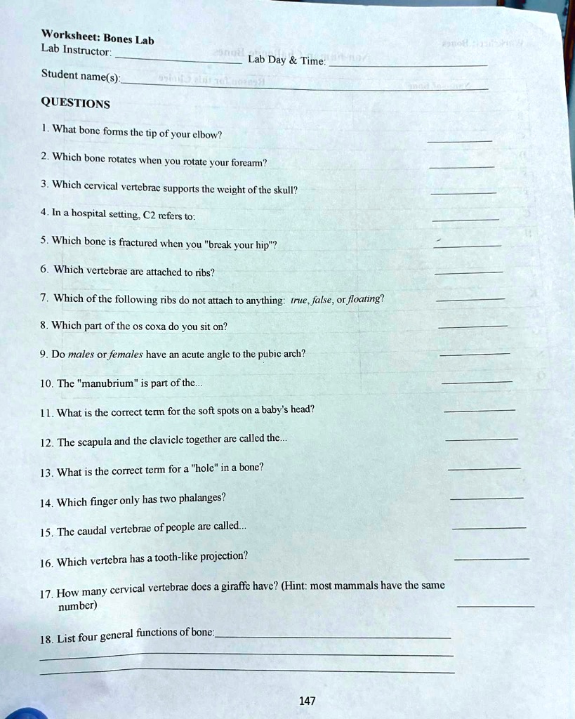 Worksheet: Bones Lab Lab Instructor: Lab Day Time Student name(s ...