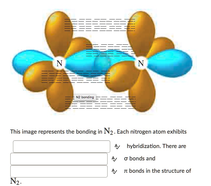 SOLVED: N N N2 bonding This image represents the bonding in Nz. Each ...