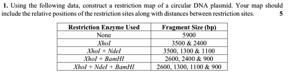 1. Using the following data, construct a restriction map of a circular DNA plasmid. Your map ...
