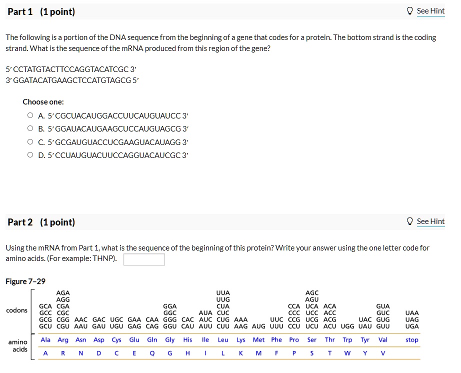 Part 1 (1 point) See Hint The following is a portion of the DNA ...
