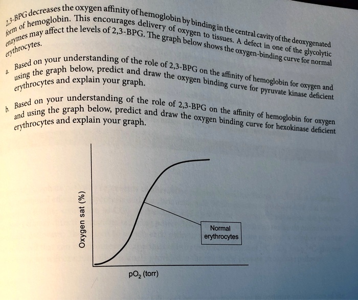 SOLVED: Decreases in the oxygen affinity of hemoglobin may affect the ...