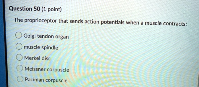 SOLVED: Question 50 (1 point) The proprioceptor that sends action ...