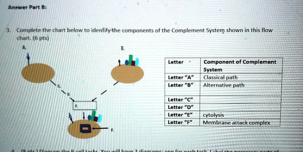SOLVED:Answer Part B: Complete the chart below to identify the ...