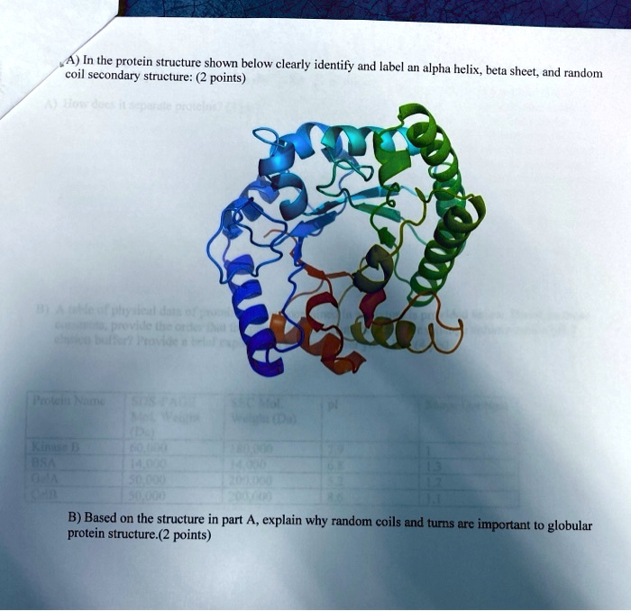 SOLVED: In the protein structure shown below, clearly identify and ...