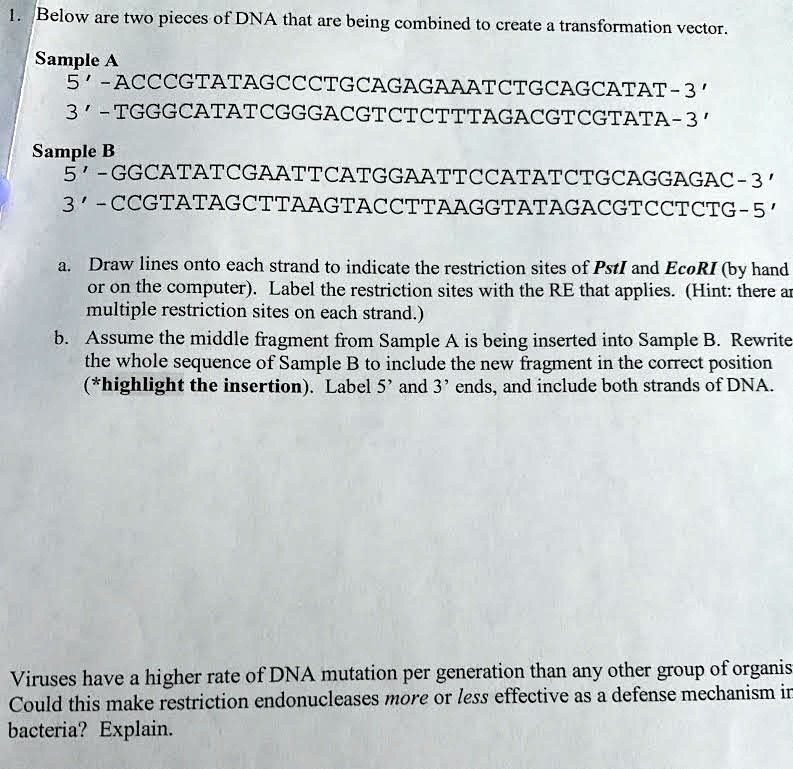 below are two picces of dna that are being combined to create ...