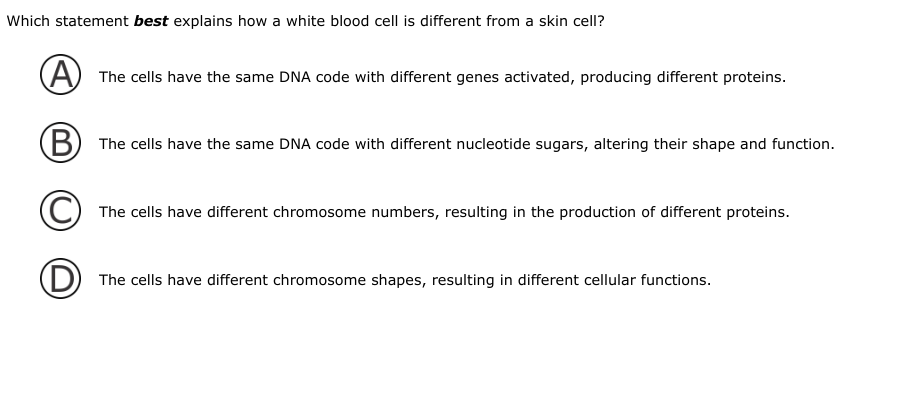 Which statement best explains how a white blood cell is different from ...