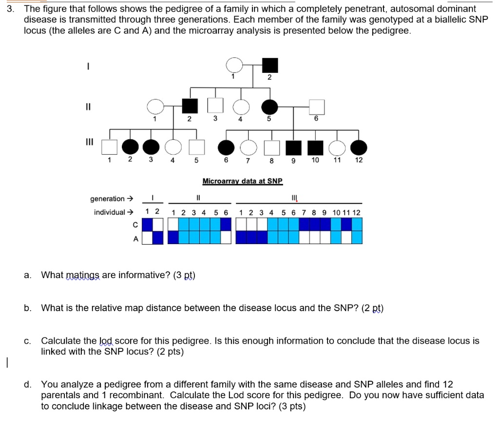 SOLVED: The figure that follows shows the pedigree of a family in which ...