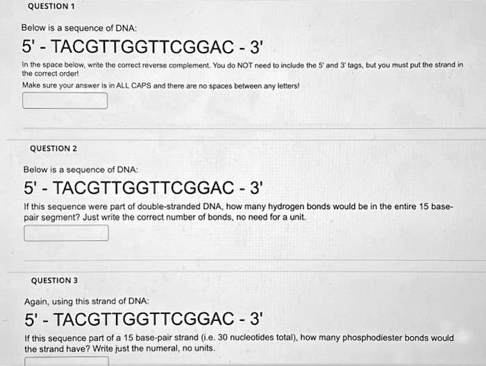 SOLVED: Question 1 Correct Answer: 5-GTCCGAACCAACGTA-3 Question 2 ...