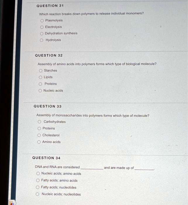 question 31 which reaction breaks down polymers 0 release individual ...