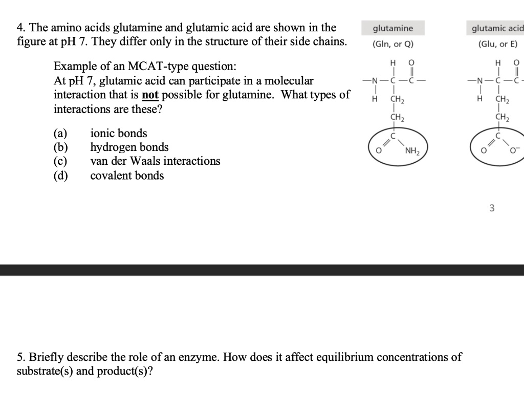 SOLVED: The amino acids glutamine and glutamic acid are shown in the ...