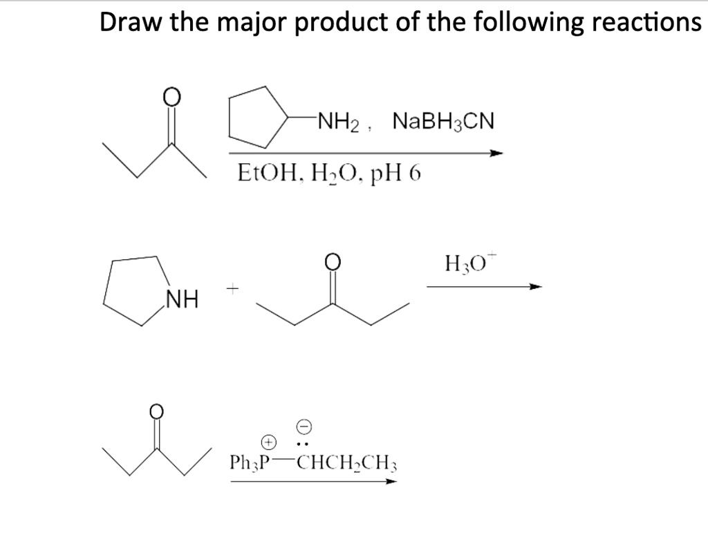 SOLVED: Draw the major product of the following reactions: NH2 + NaBH4 ...