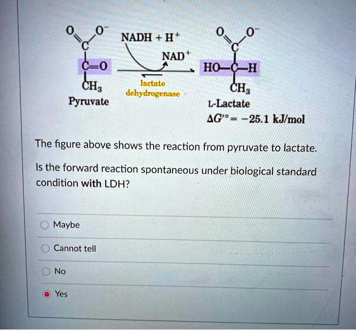 SOLVED: NADH + H' NAD HO Inctato CH: dehydrogenase Pyruvate CHz L ...