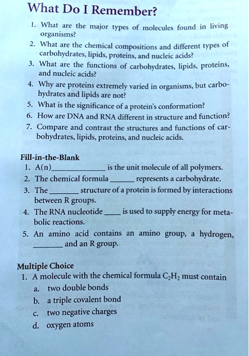 SOLVED: What Do I Remember? What are the major types of molecules found ...